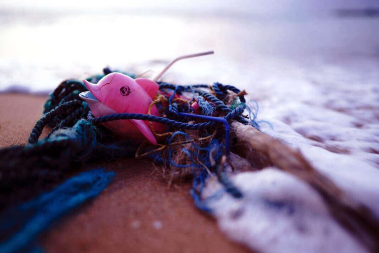 Il settimo continente - l'isola di plastica del pacifico - The Question